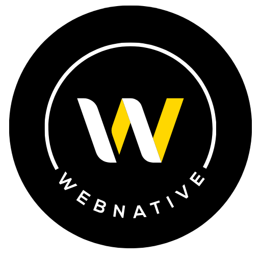 Website Development in Pakistan | Professional Website Design – Webnative